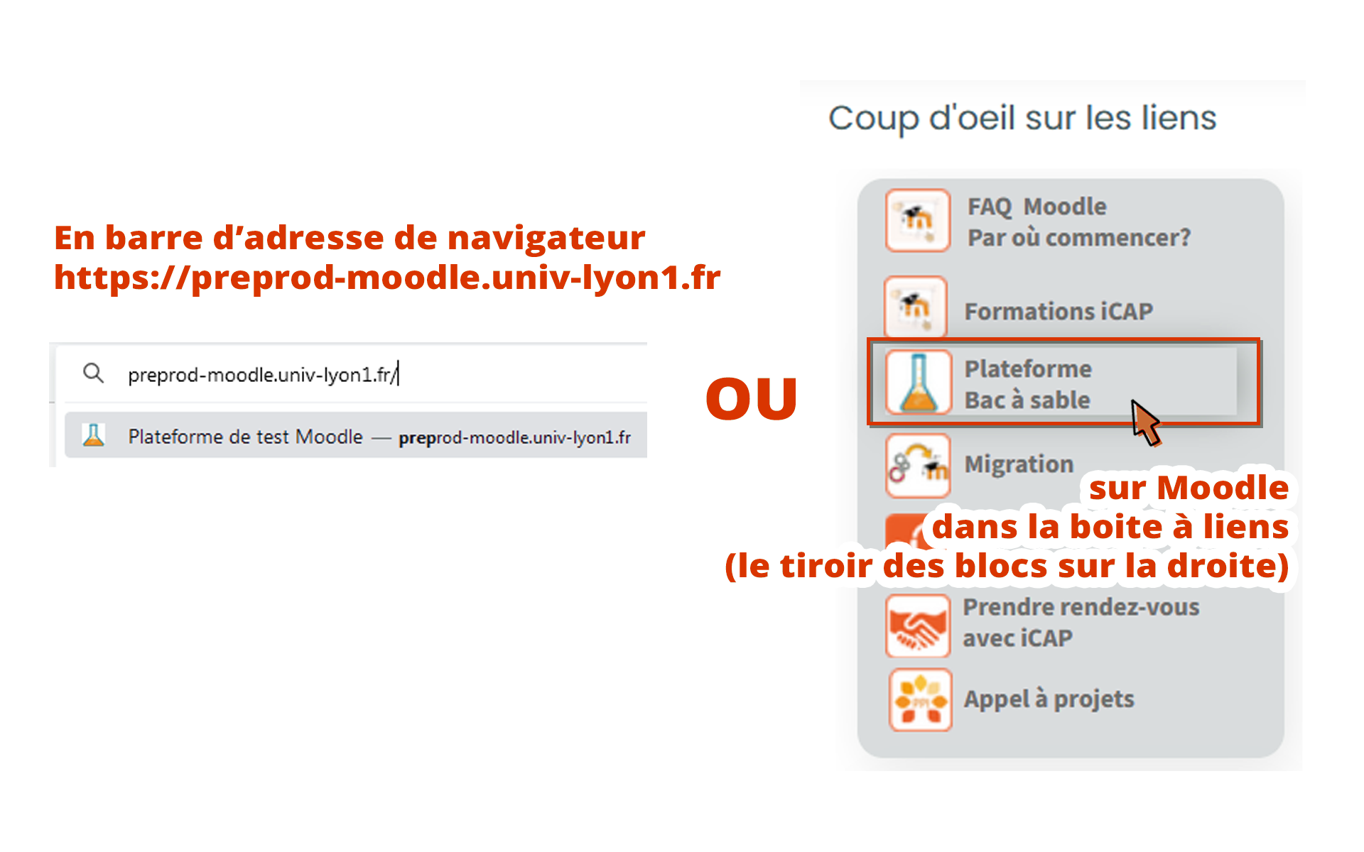 Tutoriels: Se connecter aux plateformes Moodle Lyon 1 | Icap formations